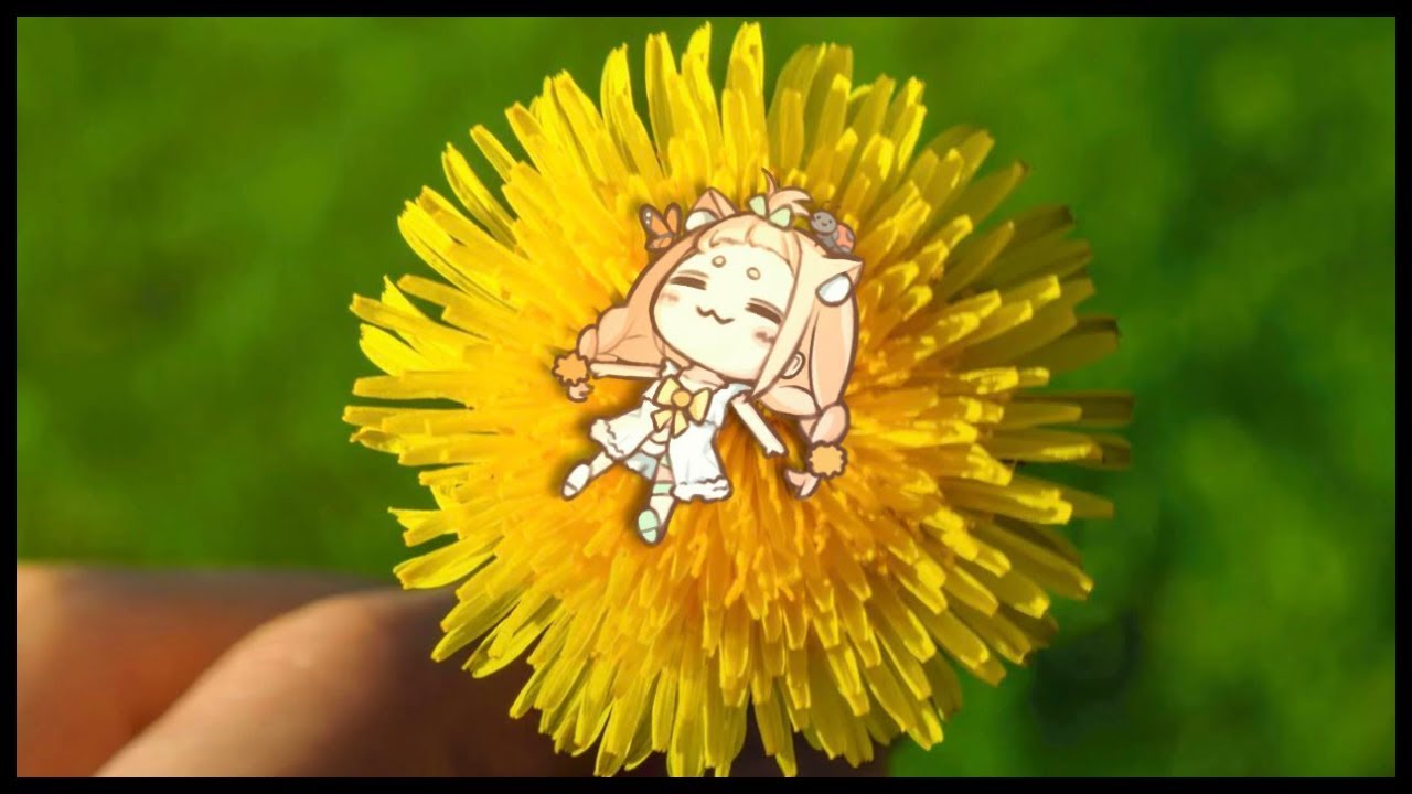 What da Lion likes【Daisy Dandelion | #idolEN3】 - YouTube