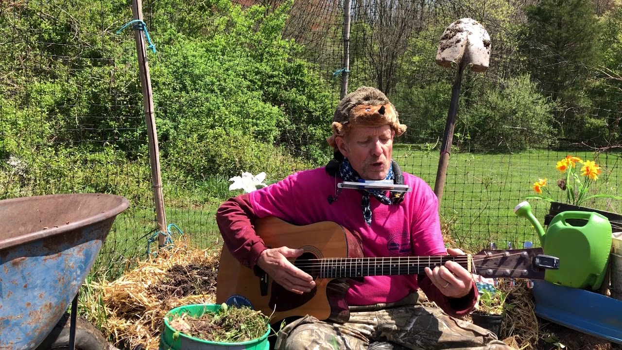 Box Turtle Bob: The Soil Song - YouTube