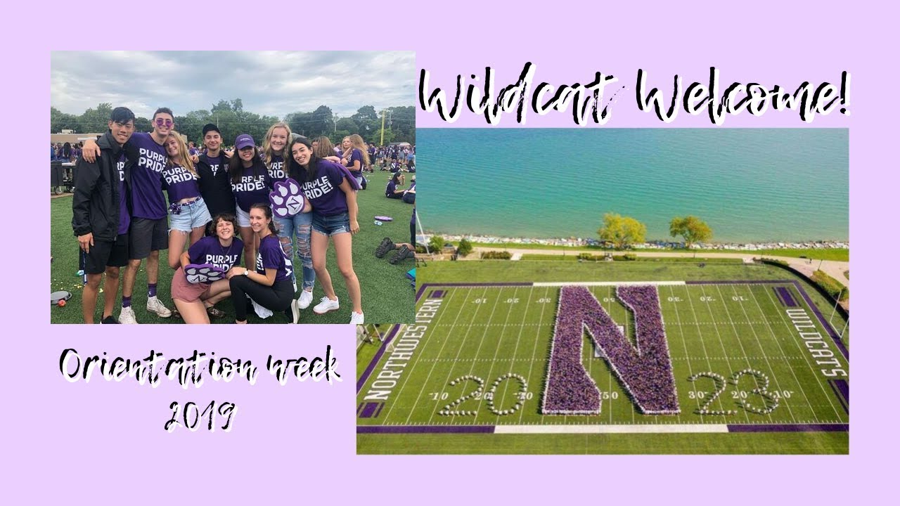wildcat welcome || northwestern orientation week💜 (Vlog. 7) - YouTube
