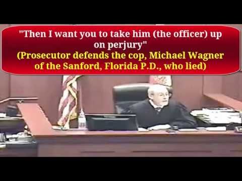 Seminole County Judge Fred Schott Overturns DUI Jury Verdict - YouTube