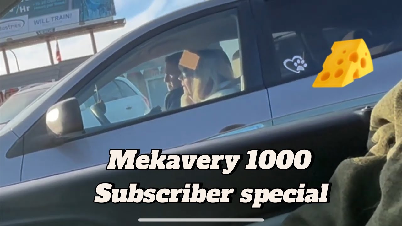 Throwing cheese at cars | 1000 SUBSCRIBER SPECIAL - YouTube