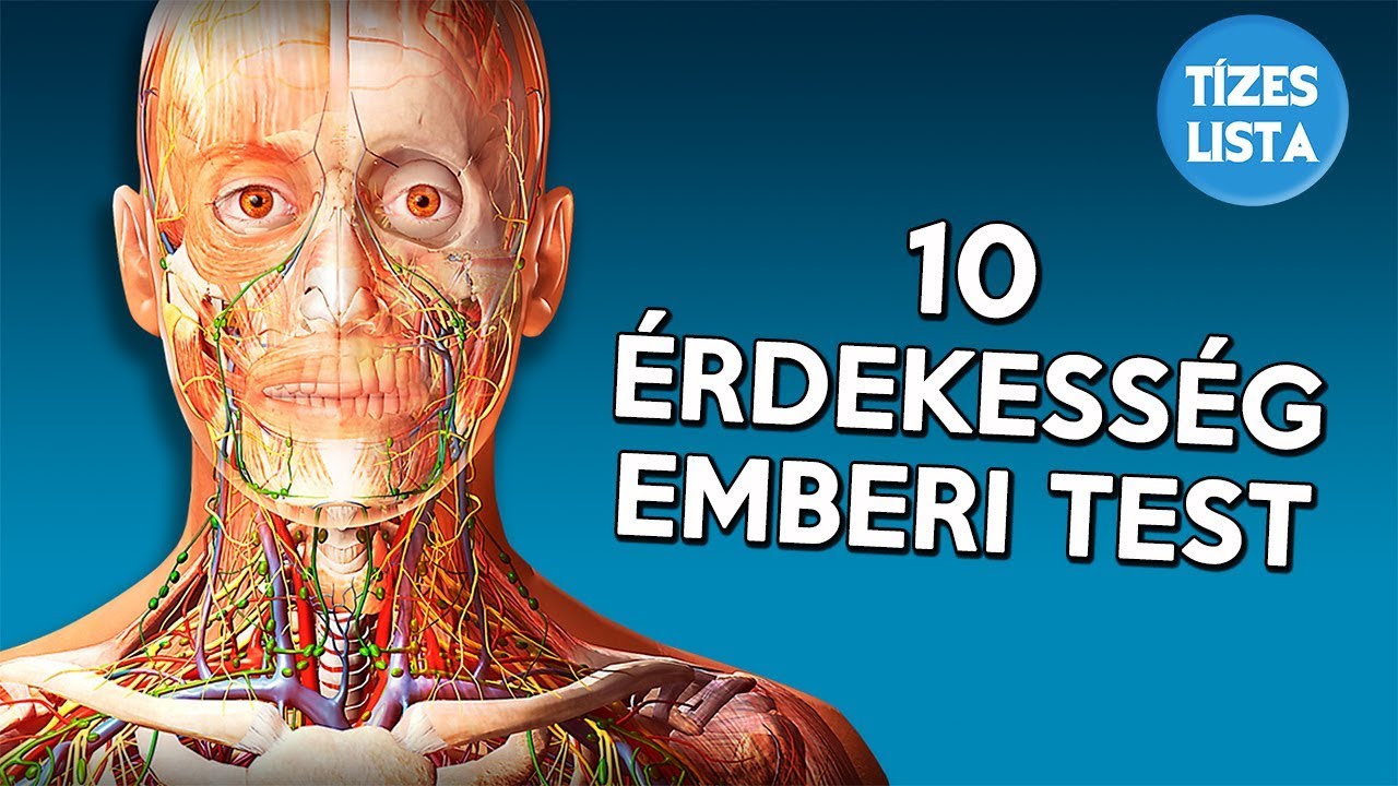 10 érdekesség az emberi testről - YouTube