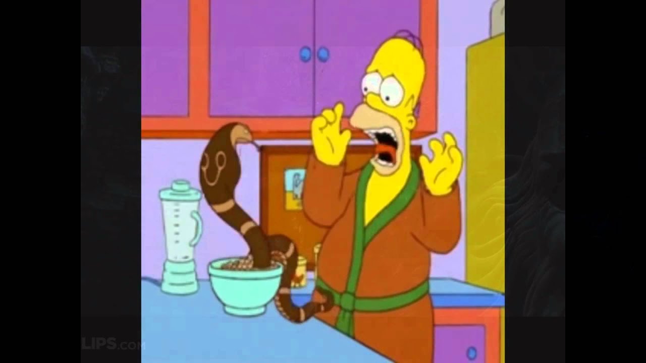 Simpsons - Cobra and Harry Potter funny video MUST SEE! :DD - YouTube