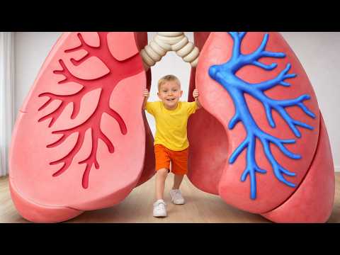 Niños dentro del cuerpo humano | Ciencia para niños