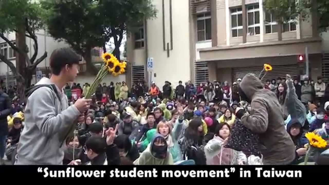 Report of Taiwan's Sunflower student movement : Protest over China ...