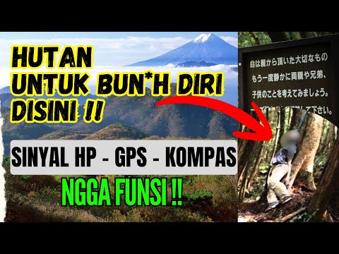 Aokigahara Hutan Hantu ?! — Ini yang Sebenarnya Terjadi di “Hutan BuD1r” Jepang