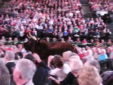 Andre Rieu - Espana Cani (Bull chasing lady in red) Birmingham 2014 ...