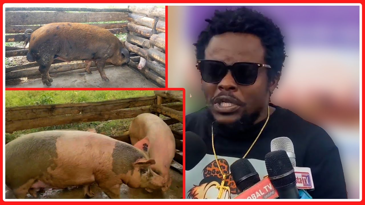 MRADI WA NGURUWE WA DOTO MAGARI WAZUA GUMZO MTANDAONI AWEKEZA MIL 70 ...