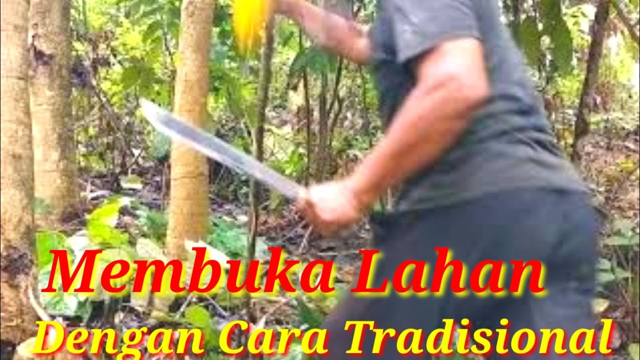 Cara Tradisional Membuka Lahan #Part1 (The Traditional Way of Clearing ...