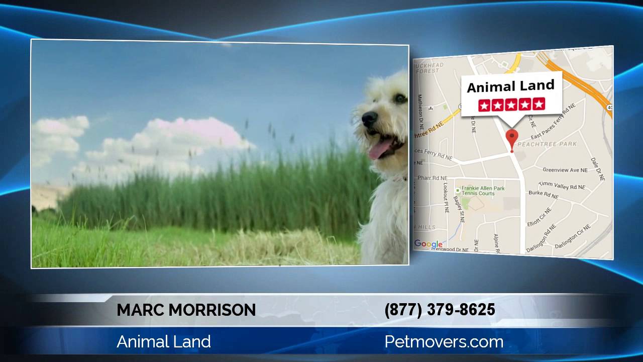 Marc Morrison Of Animal Land: Terrific Pointers On How To Find The Top ...