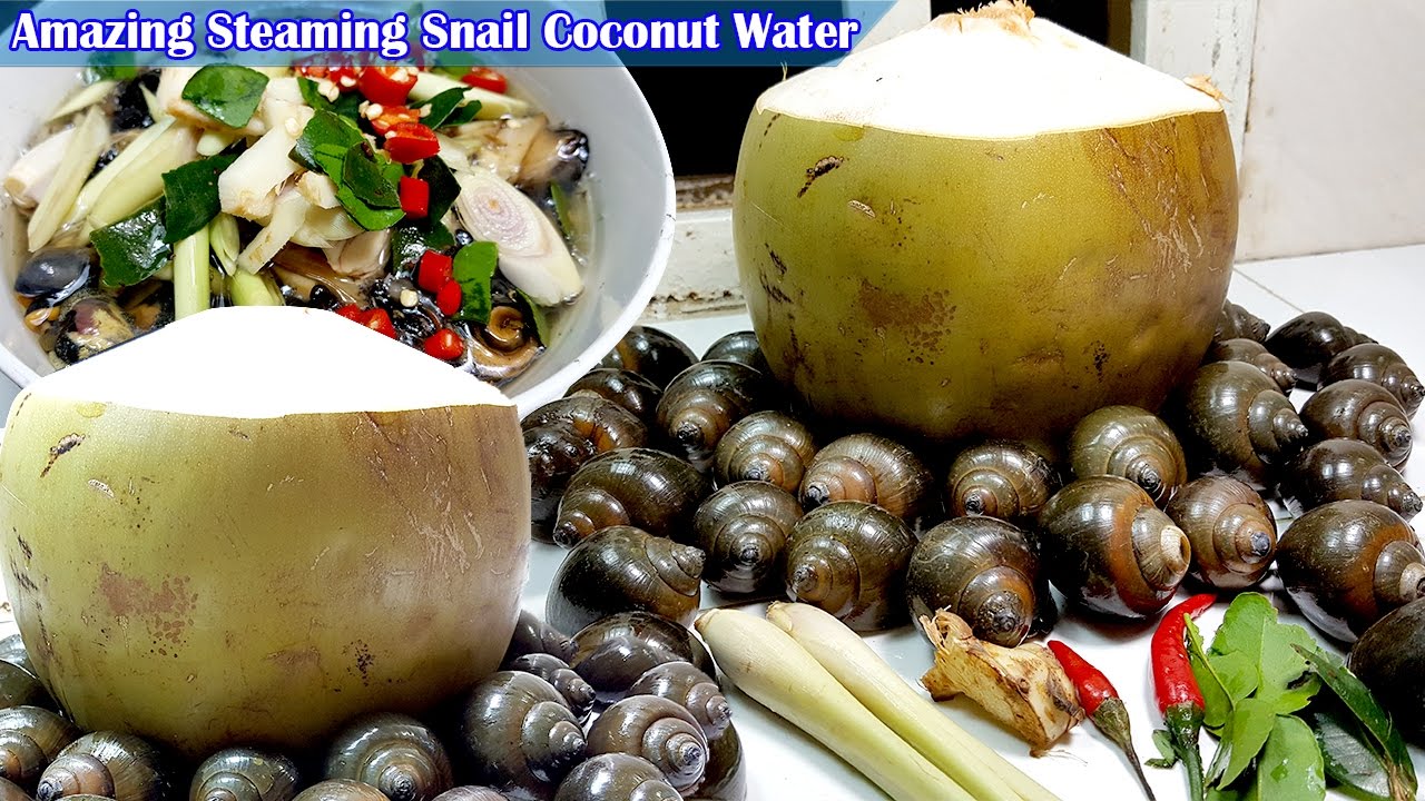 DIY, Amazing Steaming Snail Coconut Water Recipes, Culinary Cooking ...