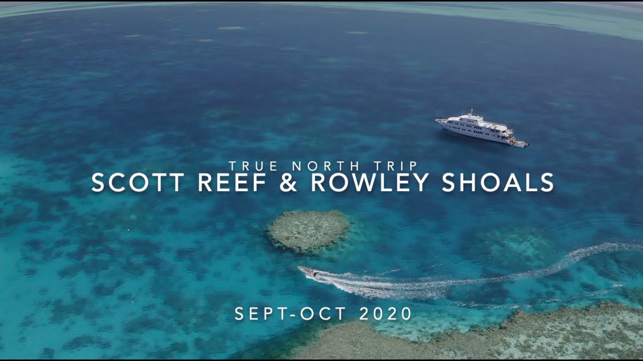 Scott Reef & Rowley Shoals Trip 2020 - YouTube