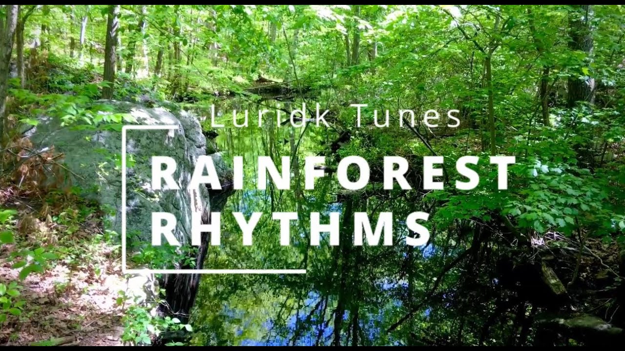 Rainforest Rhythms: Immersing in Nature's Deep Focus - YouTube