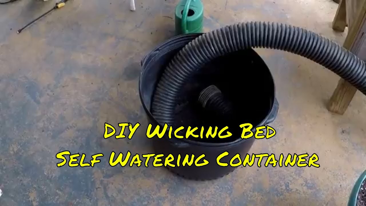 DIY Wicking Bed | Self Watering Container - YouTube
