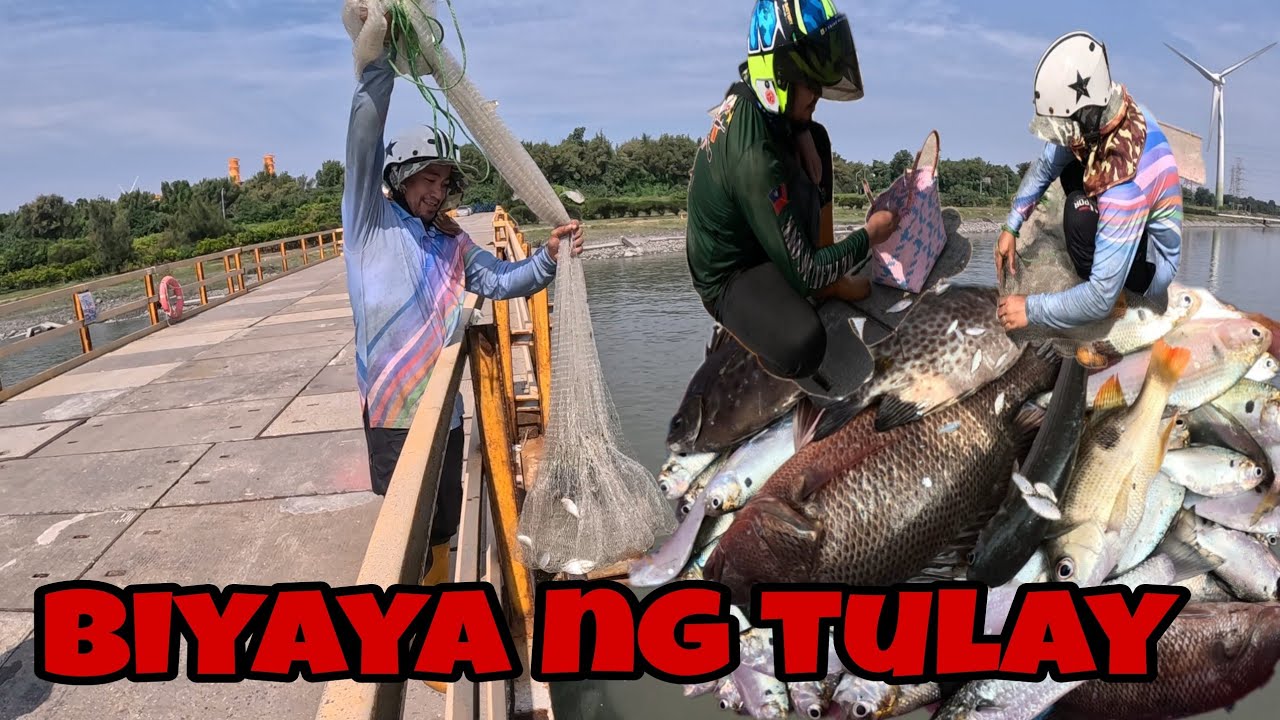 Sa matarik na tulay na to naglulungga ang mga sarisaring isdang dagat 😱 ...
