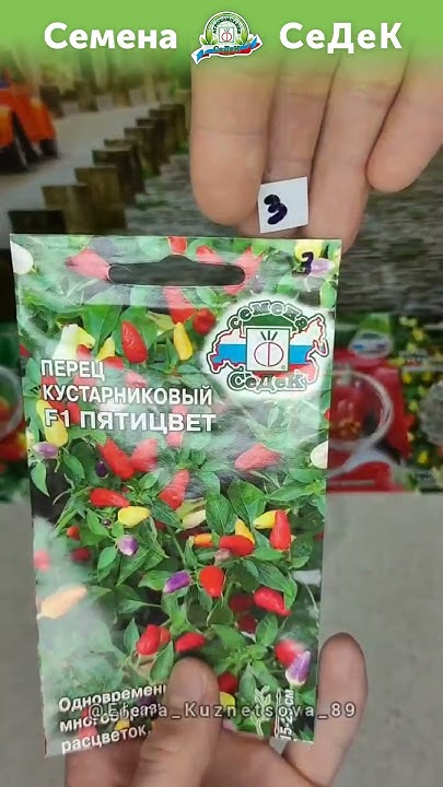 Как быстро прорастить семена перца! - YouTube
