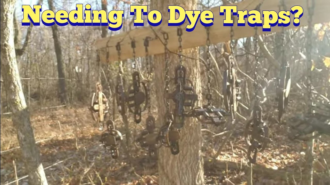 KOAM Outdoors Reviews - Speed Dip Trap Dye - YouTube