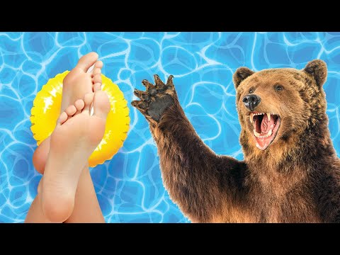 Bear Gets Friendly With Sleeping Man’s Feet