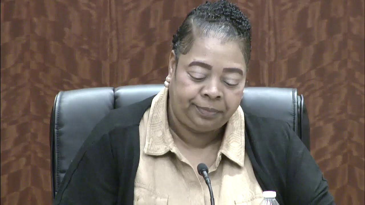 25th Mayor and City Council Meeting - February 11, 2019 - YouTube