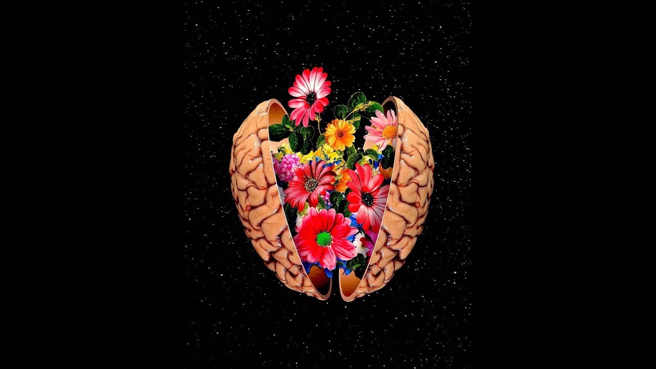 Basic trap percussion (tutorial) - YouTube