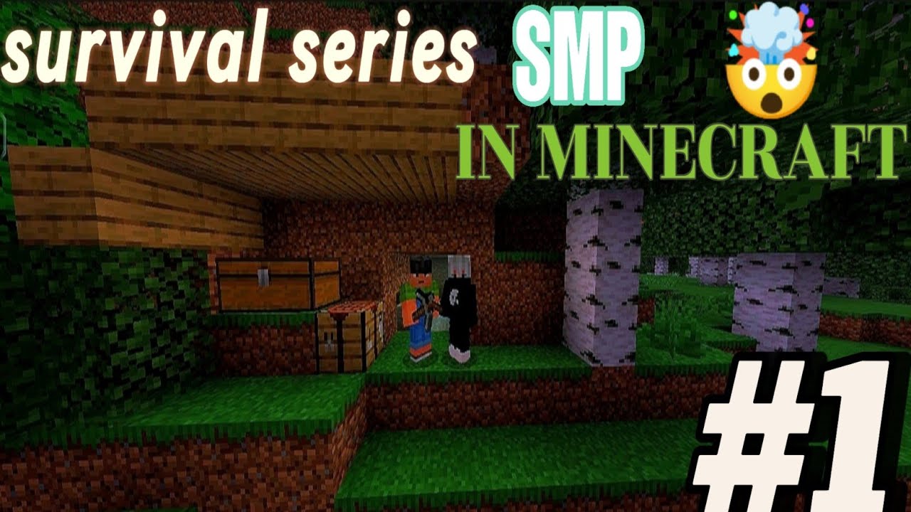 Minecraft Survival Series SMP Gameplay #1EP_1 | ( In Hindi ) - YouTube
