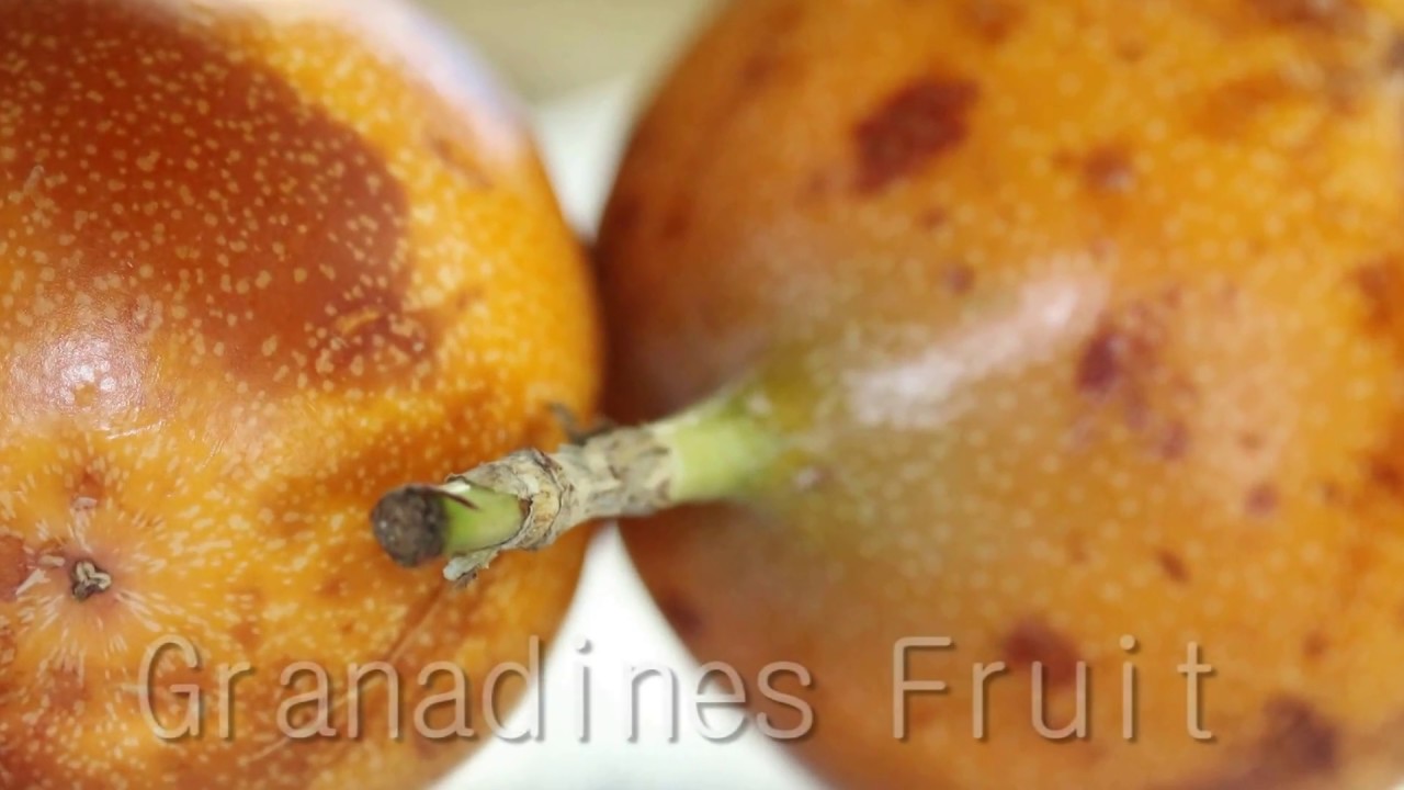 Video & image of GRANADILLA Passiflora ligularis & How to use it for ...