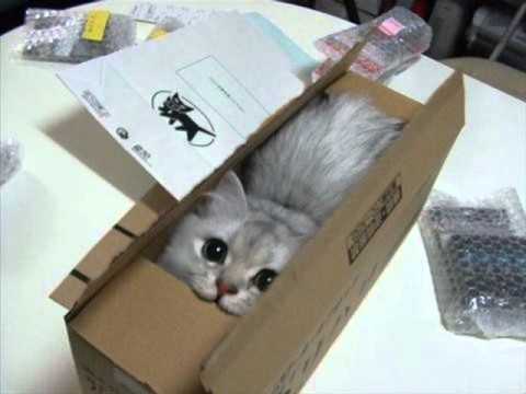 Stenchman - What The Future Holds [FULL] - YouTube