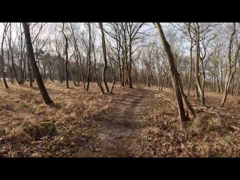 5 maar5 2023, Kennemer Duinen