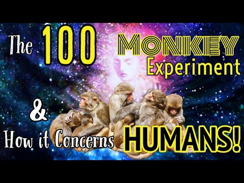 The 100 Monkey Experiment & Why It Concerns HUMANS | Lets Make It To ...