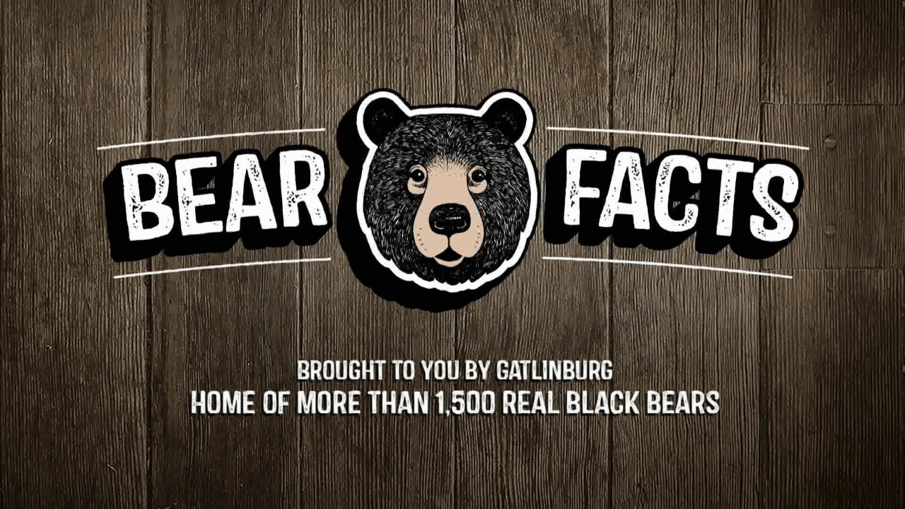 Bear Facts: #26 - Bear Facts Are Not To Be Confused With "Bear Fax ...