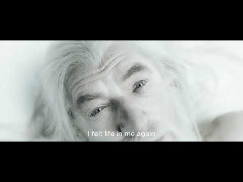Gandalf tells how he defeated the Balrog, and how he survived.