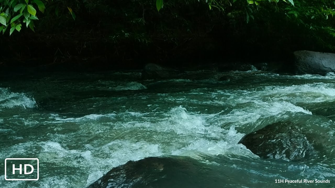 Gentle Night River Therapy — Real Water Flow - YouTube