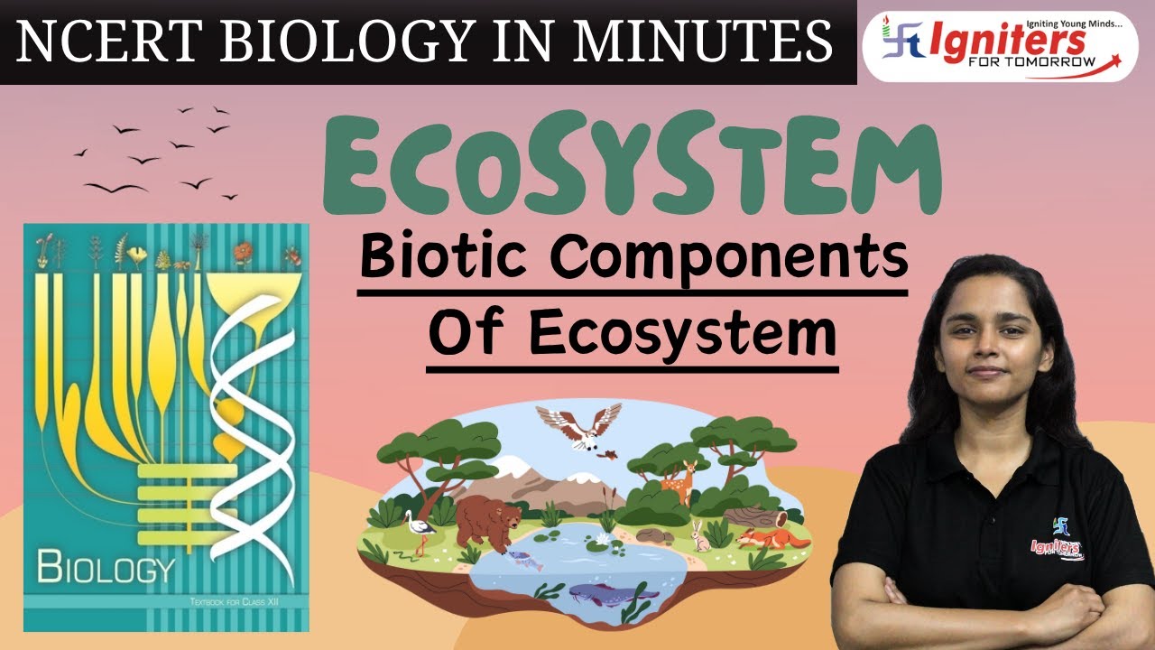 Biotic Components of Ecosystem | Ecosystem | NCERT Biology in Minutes ...
