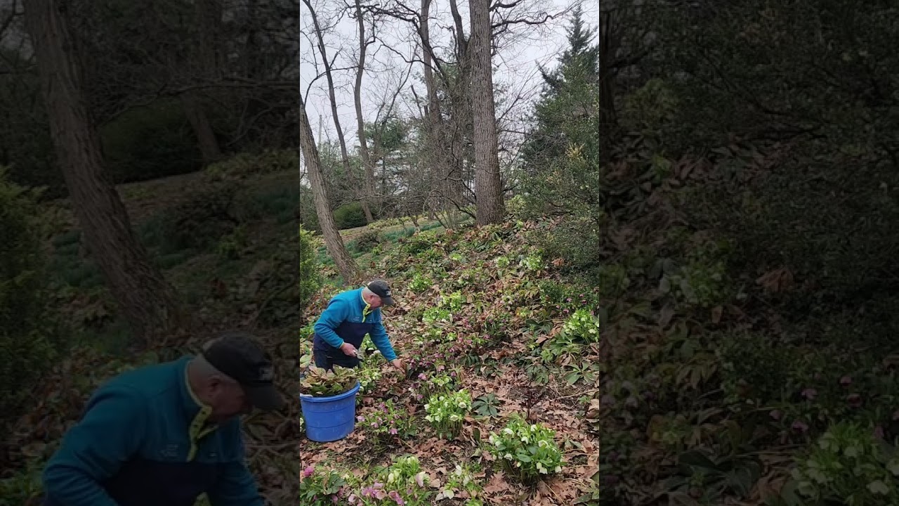 ECOsystem3 - Grown By Overdevest