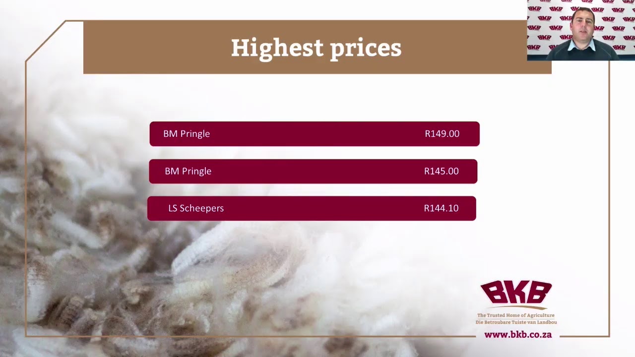 BKB Live Wool Auction | 16 September 2020 - YouTube