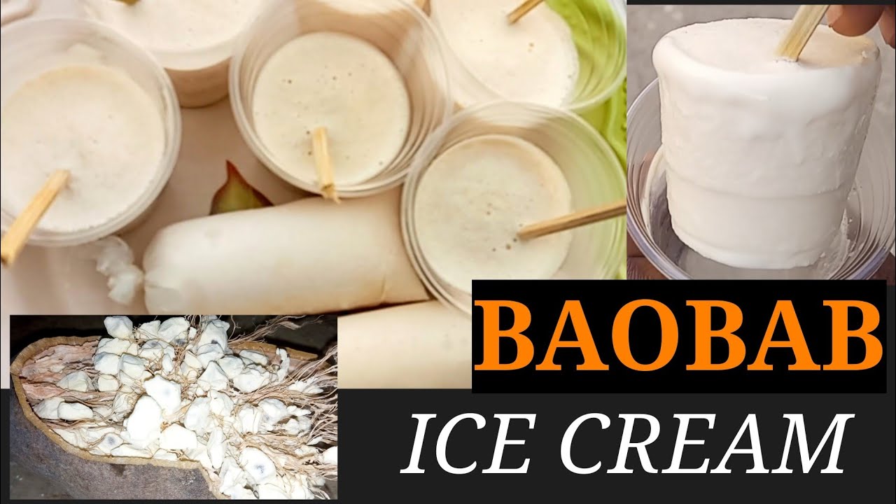 African Village Popsicle: How To Make Baobab Ice Cream | Baobab ...