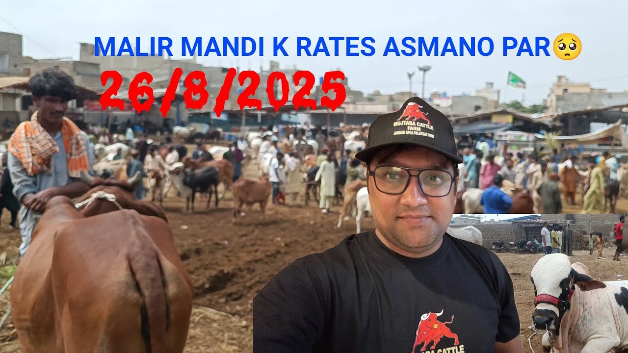 MALIR Mandi k rates ansmano par 26/8/2025 😝👊 - YouTube