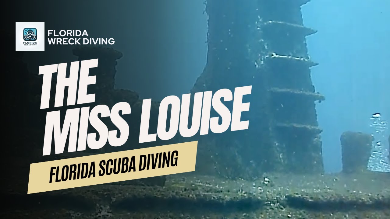 Scuba Diving the Miss Louise Wreck: Florida Dives 2015 & 2020 - YouTube