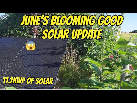 Blooming good solar update - Fully electric Zero bill home 11.7kwp ...