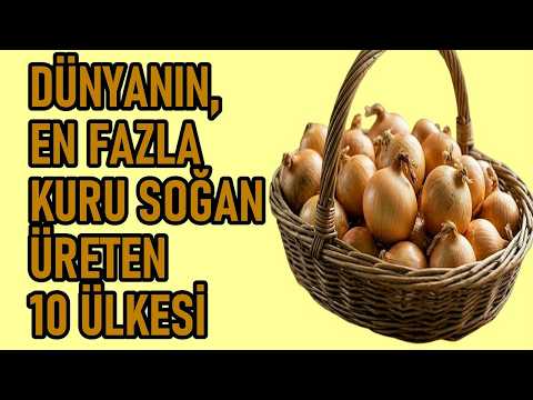 Dünyanın En Fazla Kuru Soğan Üreten 10 Ülkesi! Türkiye Kaçıncı Sırada? 2026