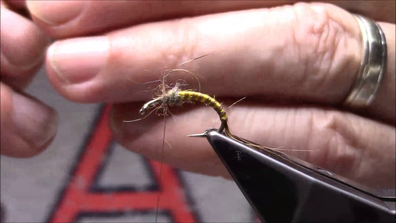 Mayfly Emerger - YouTube