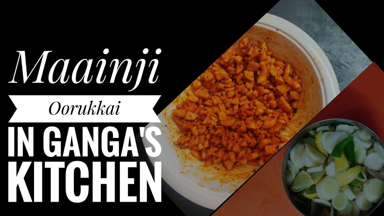 Maa Inji Oorukkai recipes|2 types of Mango Ginger pickles|மா இஞ்சி ...