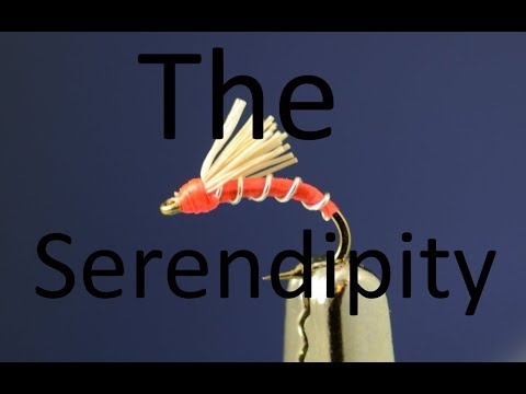 serendipity A real universal fly - YouTube