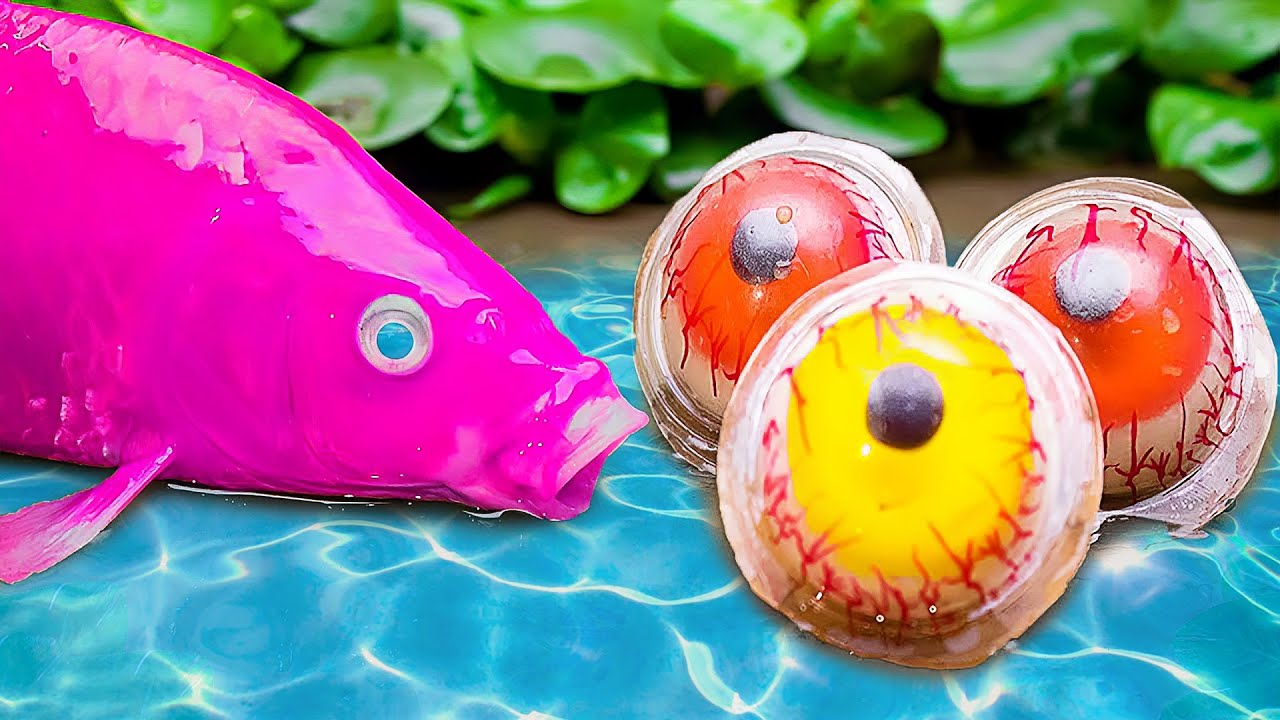 Stop Motion Fish In Mud Survival - NEW Merry Christmas Koi Fish With ...