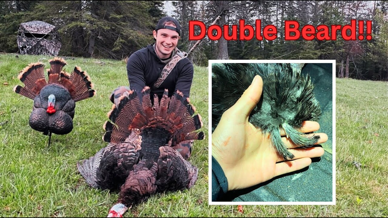 Double-Bearded Jake! - My First Turkey - YouTube