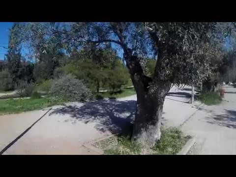 VLOG#9ΠΕΡΠΑΤΑΜΕ ΜΕΣΑ ΣΤΟ ΠΑΡΚΟ ΤΡΙΤΣΗ ΜΕ ΤΗΝ ΚΑΜΕΡΑ 340 ΜΕΣΑ ΣΤΗΝ ...