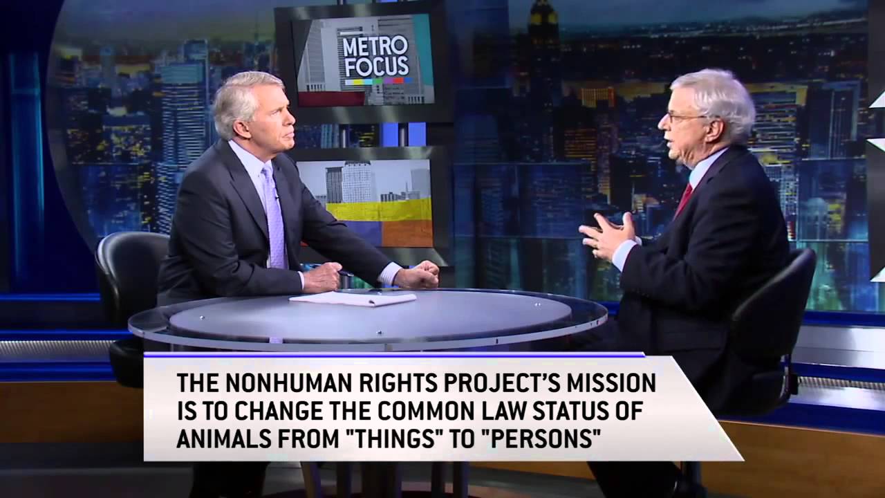 The Non Human Rights Project - YouTube