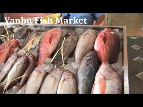 Yanbu Fish Market - YouTube