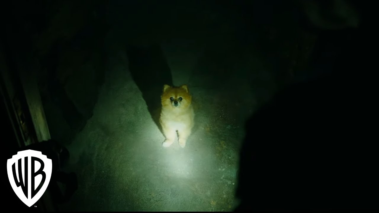 IT Chapter Two | That's A Good Boy | Warner Bros. Entertainment - YouTube