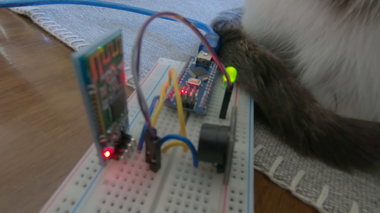 Bluetooth Buddy Demo - YouTube